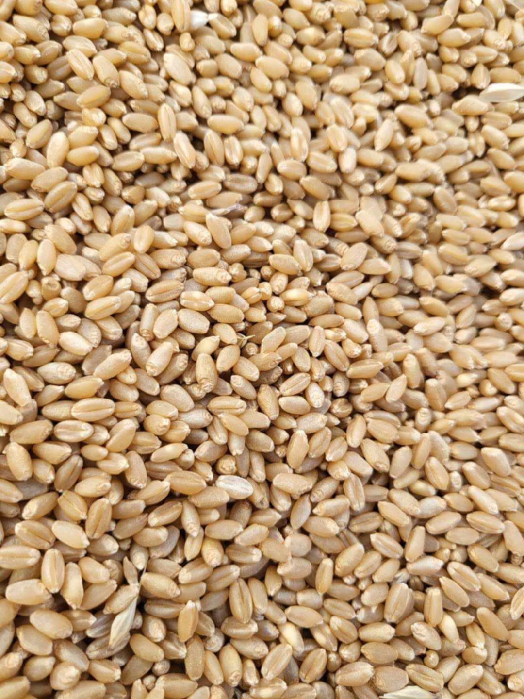 Private Sales | Farmclearingsales.com.au