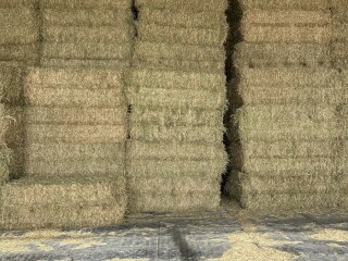 Categories | Farmclearingsales.com.au