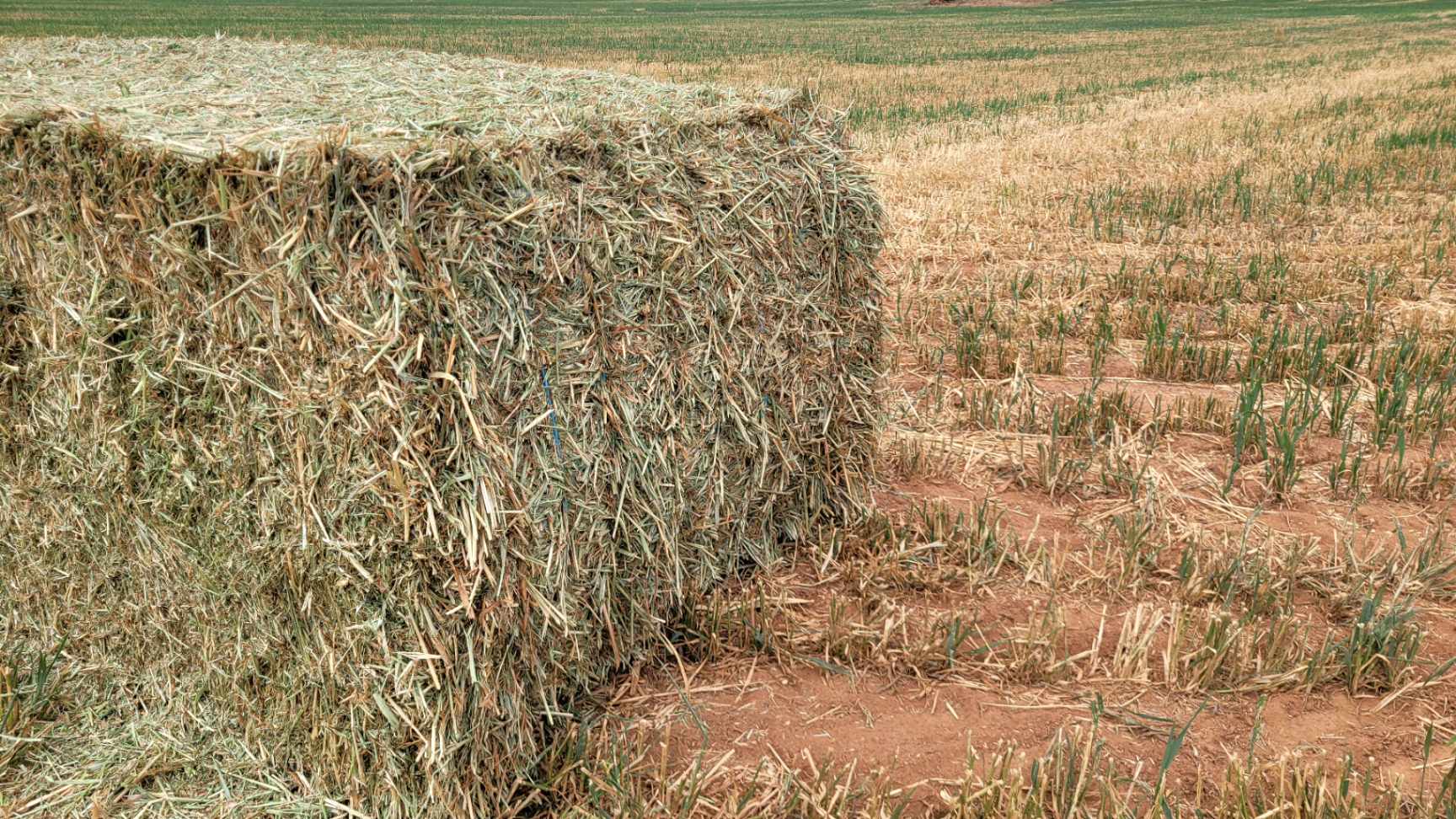 Categories | Farmclearingsales.com.au