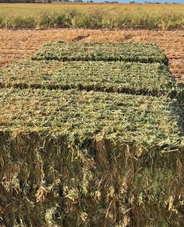 Private Sales | Farmclearingsales.com.au