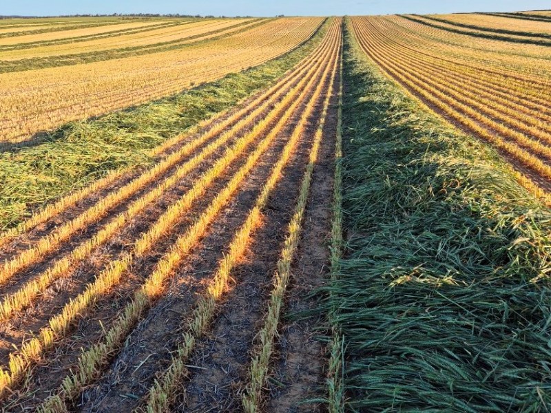 Private Sales | Farmclearingsales.com.au