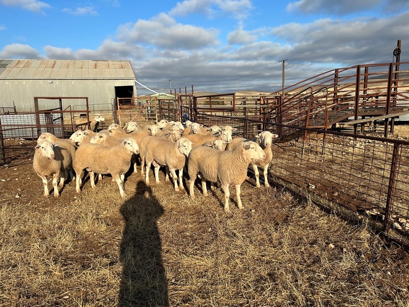 Private Sales | Farmclearingsales.com.au