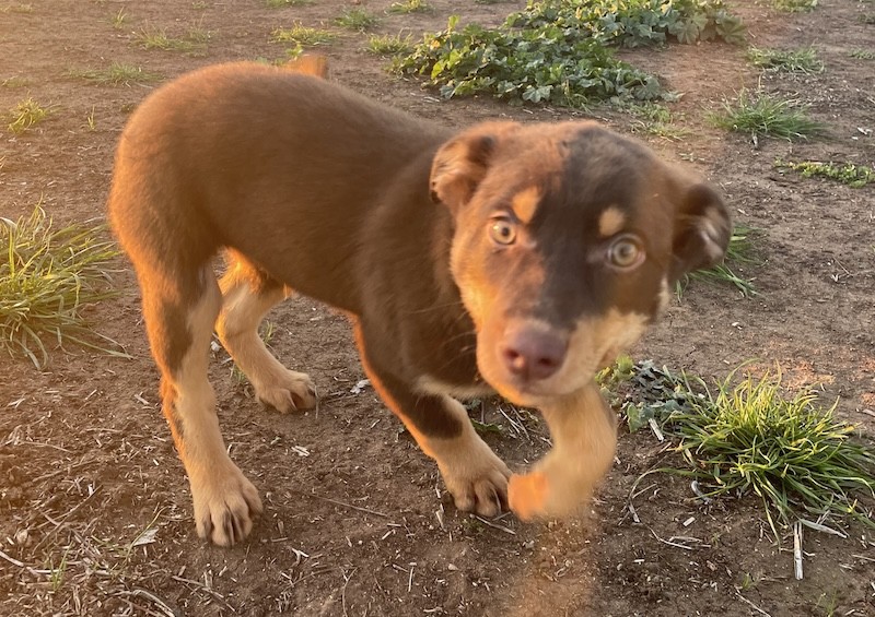 Categories | Farmclearingsales.com.au