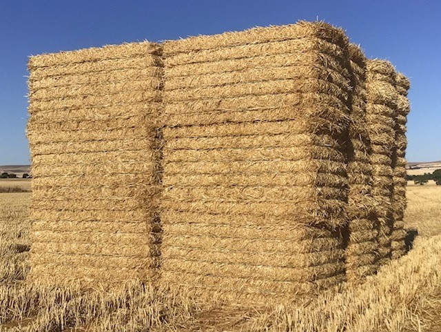 Categories | Farmclearingsales.com.au