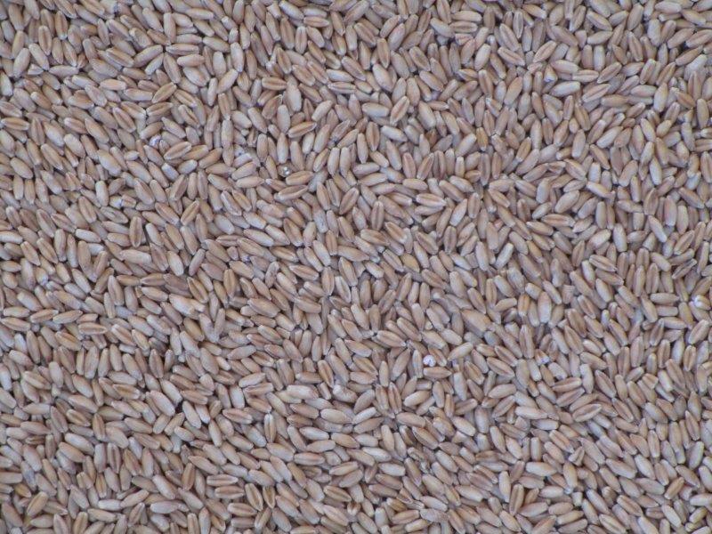 Categories | Farmclearingsales.com.au